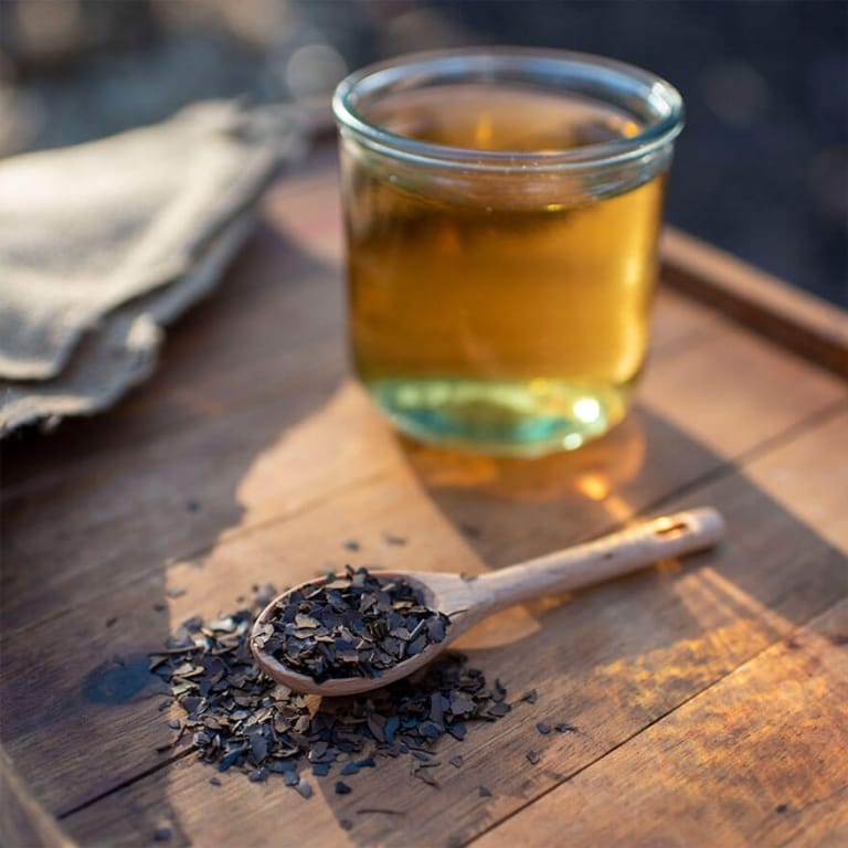 Shop for Specialty Loose Leaf Tea - Fava Tea